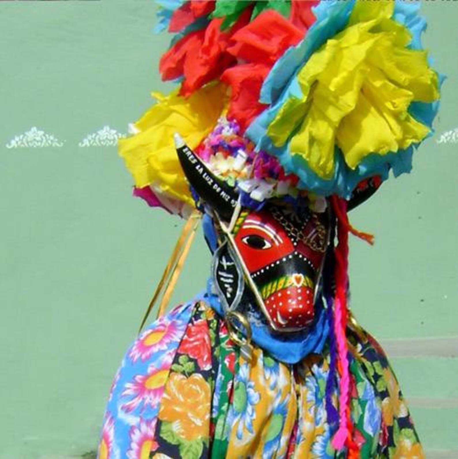 Bull mask of the carnival of the Alto Lucero Veracruz town | Etsy