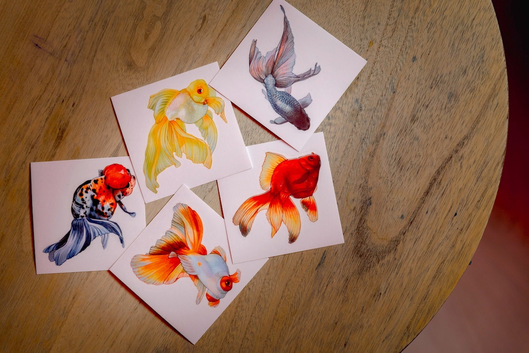 High Quality, Durable Goldfish Sticker Set - 5 Designs - Matte ...