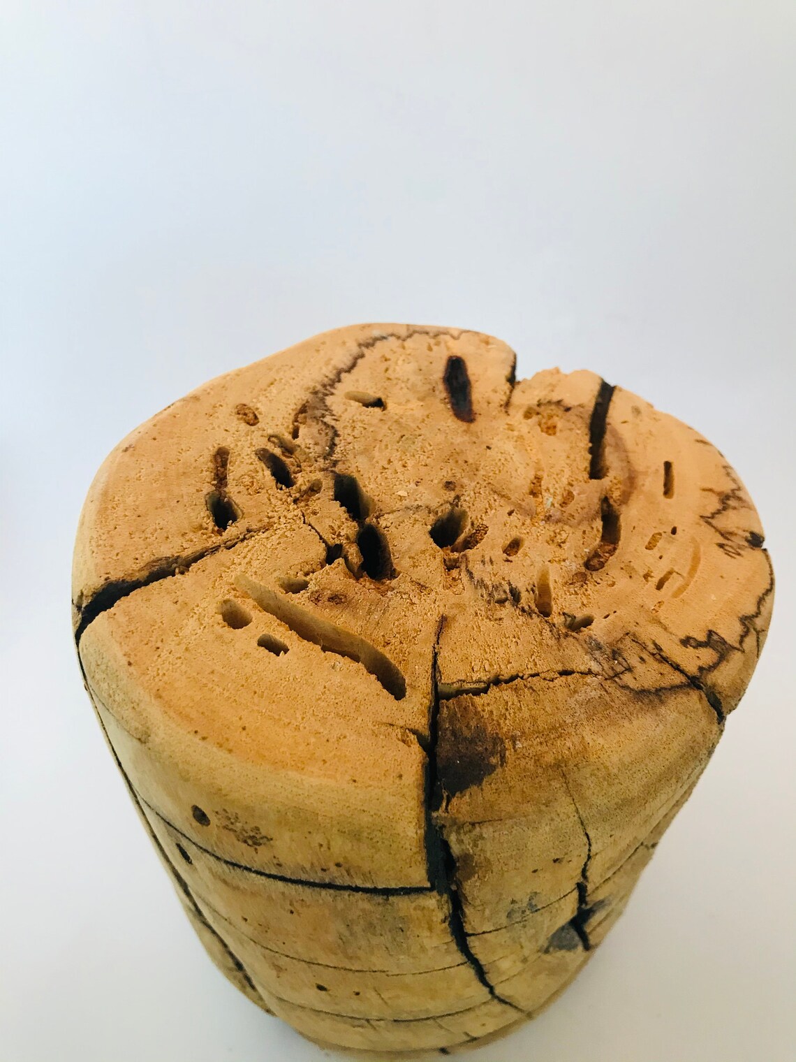 Rustic/primitive/worm Holes, Candle Holder, Handmade With Palo Verde ...