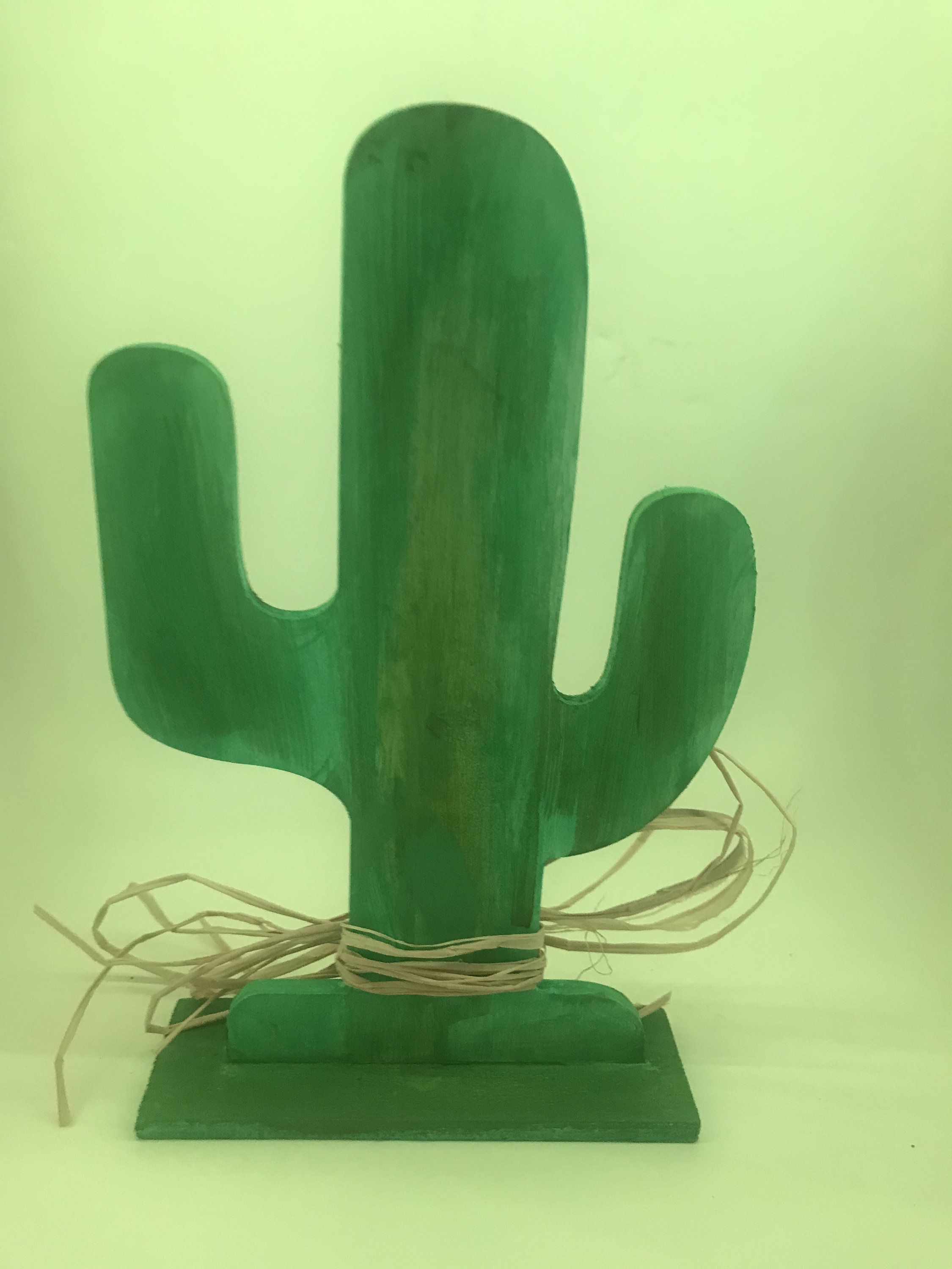 Saguaro Cactus, Handcrafted From Someone Who Lives in the Desert of the ...