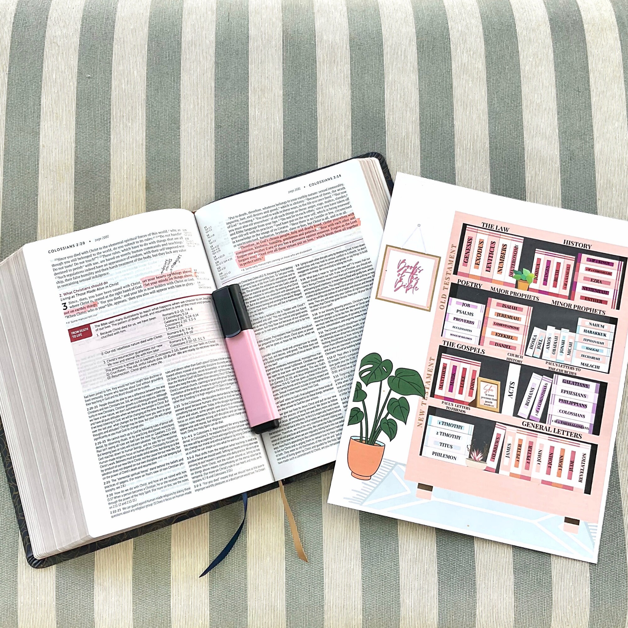 Bible Categories, Bible Bookshelf, Books of the Bible Categories ...