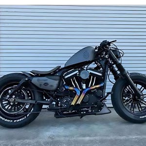 GNARLY Drag Pipes for Harley Davidson Sportster 2-into-2 Stainless ...