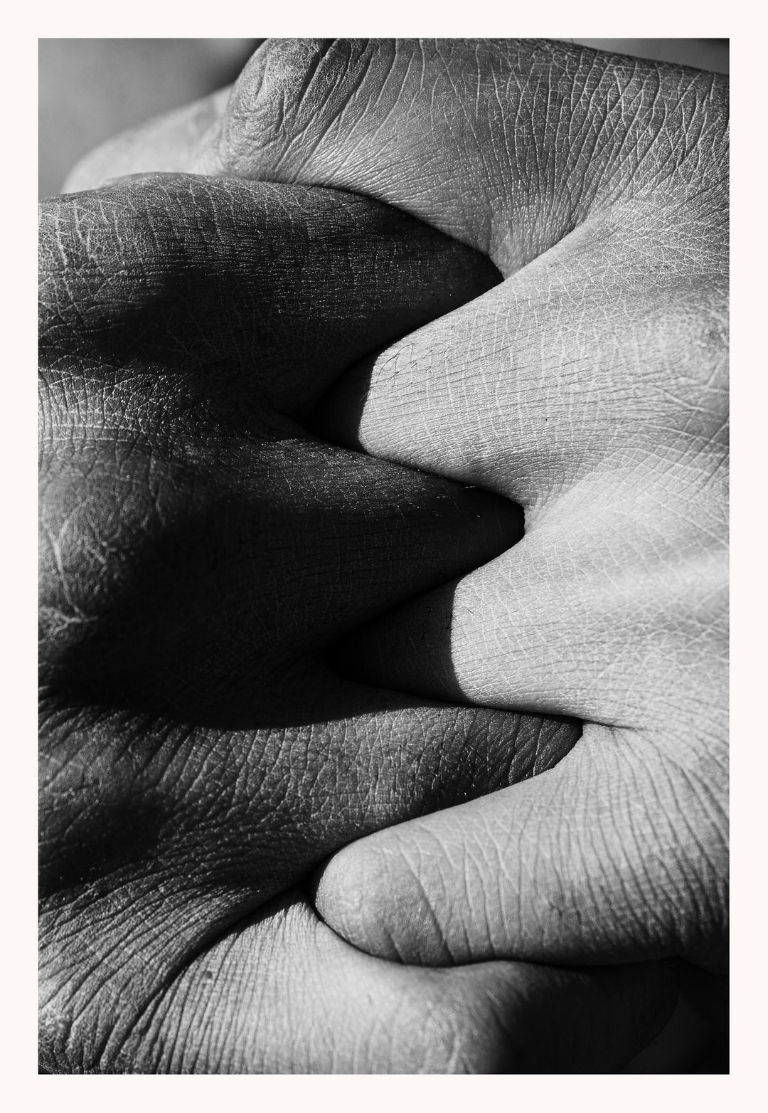 Togetherness Limited Edition Print. Museum Quality Paper - Etsy