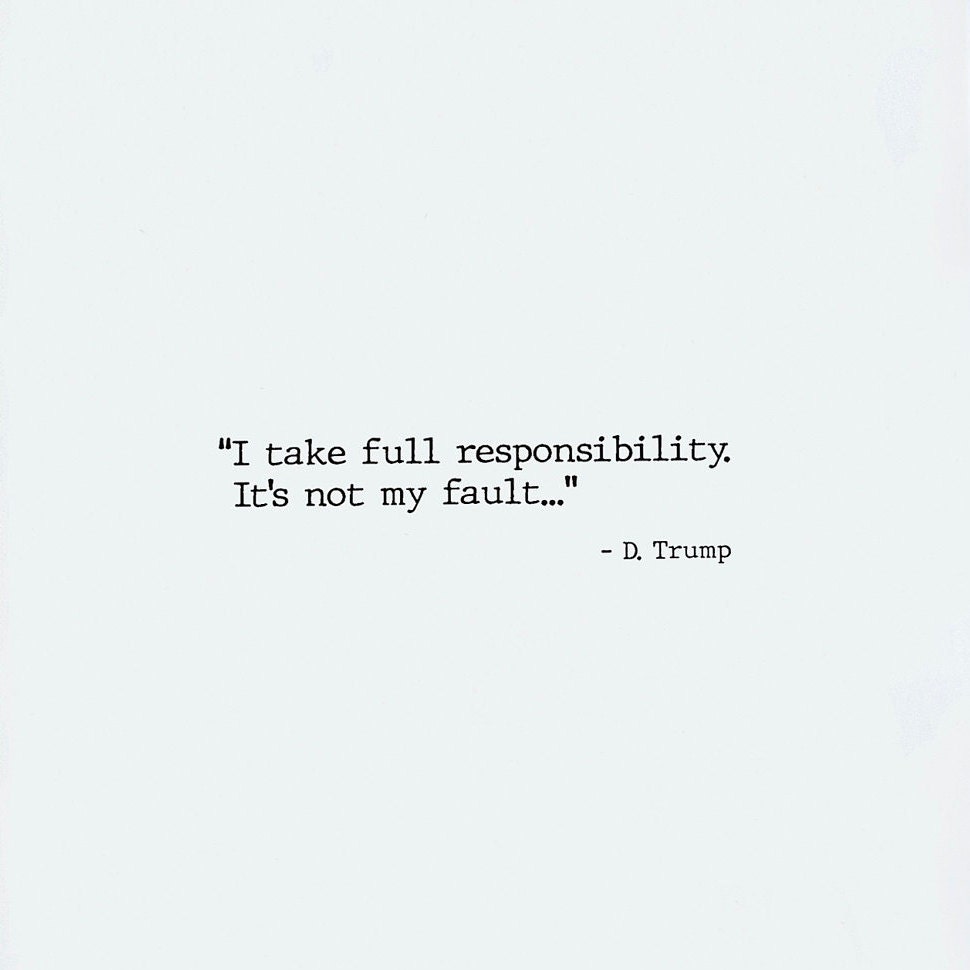 Donald Trump I Take Full Responsibility Quote Politics - Etsy UK