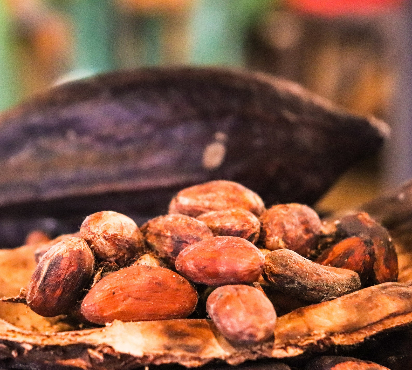 100% Peruvian Ceremonial Raw Cacao Ceremonial Peruvian Cacao | Etsy