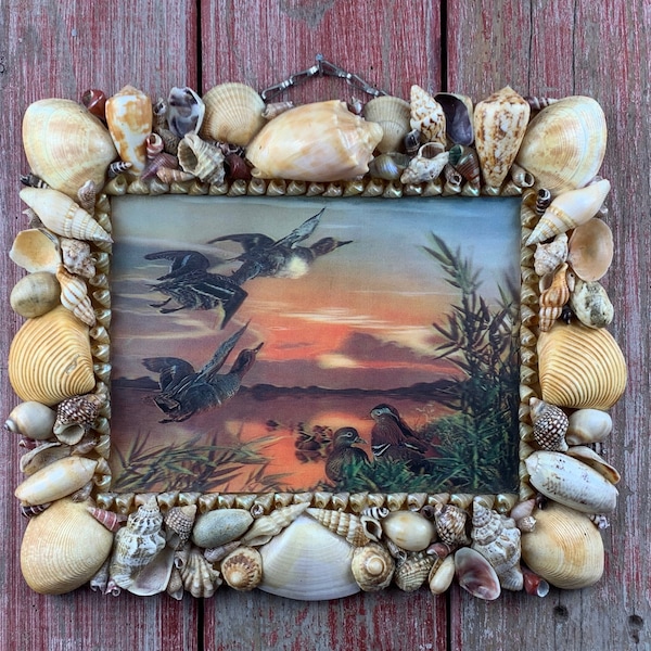 Shell Frame - Etsy