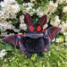 Moth-man Plush - Etsy