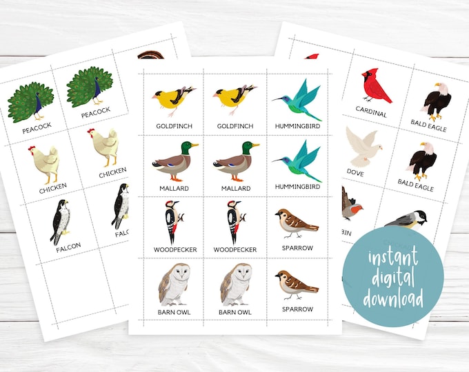 Bird Matching Game Printable – Homeschool Memory Game (digital Download ...