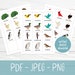 Bird Matching Game - Homeschool Printable - Homeschool Preschool ...