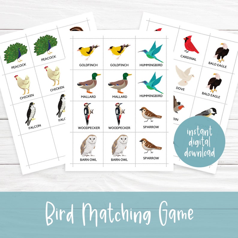 Bird Matching Game Printable – Homeschool Memory Game (digital Download ...