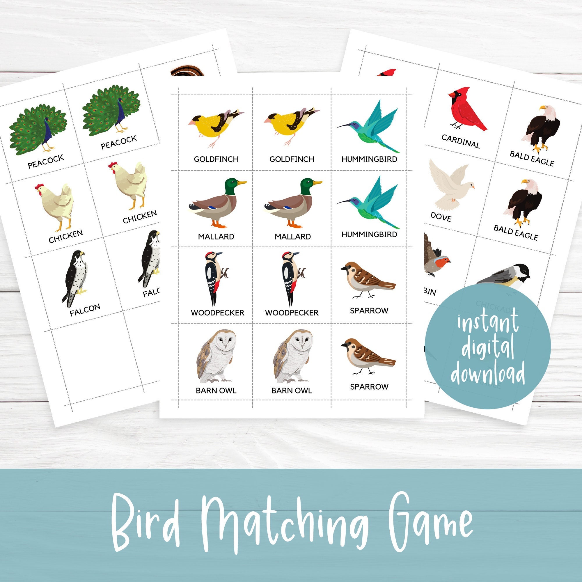 Bird Matching Game - Homeschool Printable - Homeschool Preschool ...
