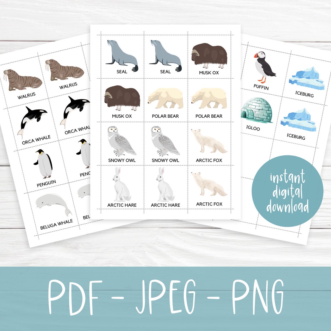 Arctic Animal Matching Game – Homeschool Printable (digital Download ...