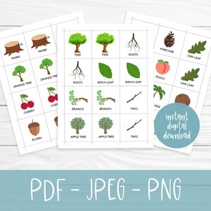 Tree Matching Game - Homeschool Printable - Homeschool Preschool ...