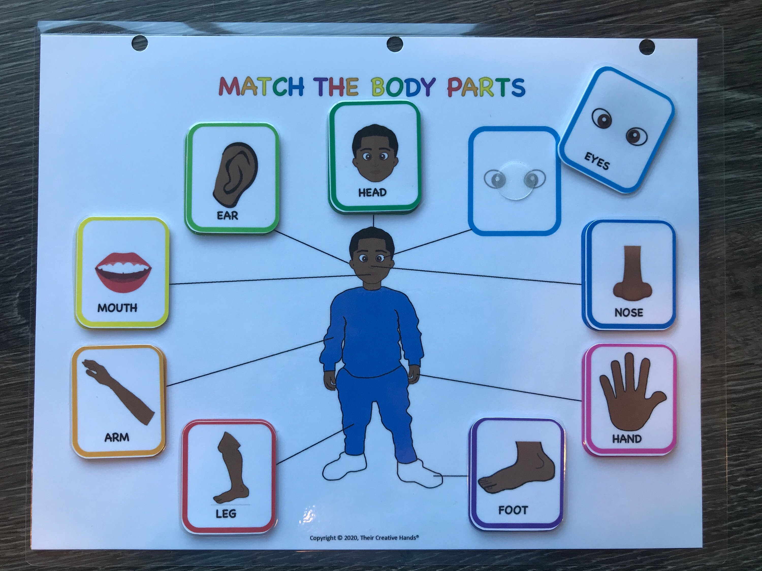 Body Parts Learning Body Parts Early Learning Preschool - Etsy
