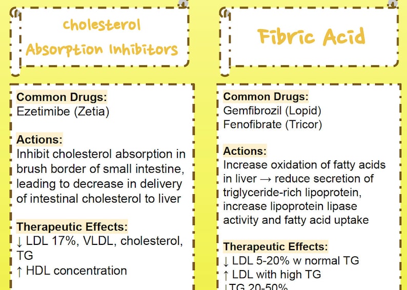 High Cholesterol Medications; Antihyperlipidemic Drugs; Nursing Notes ...