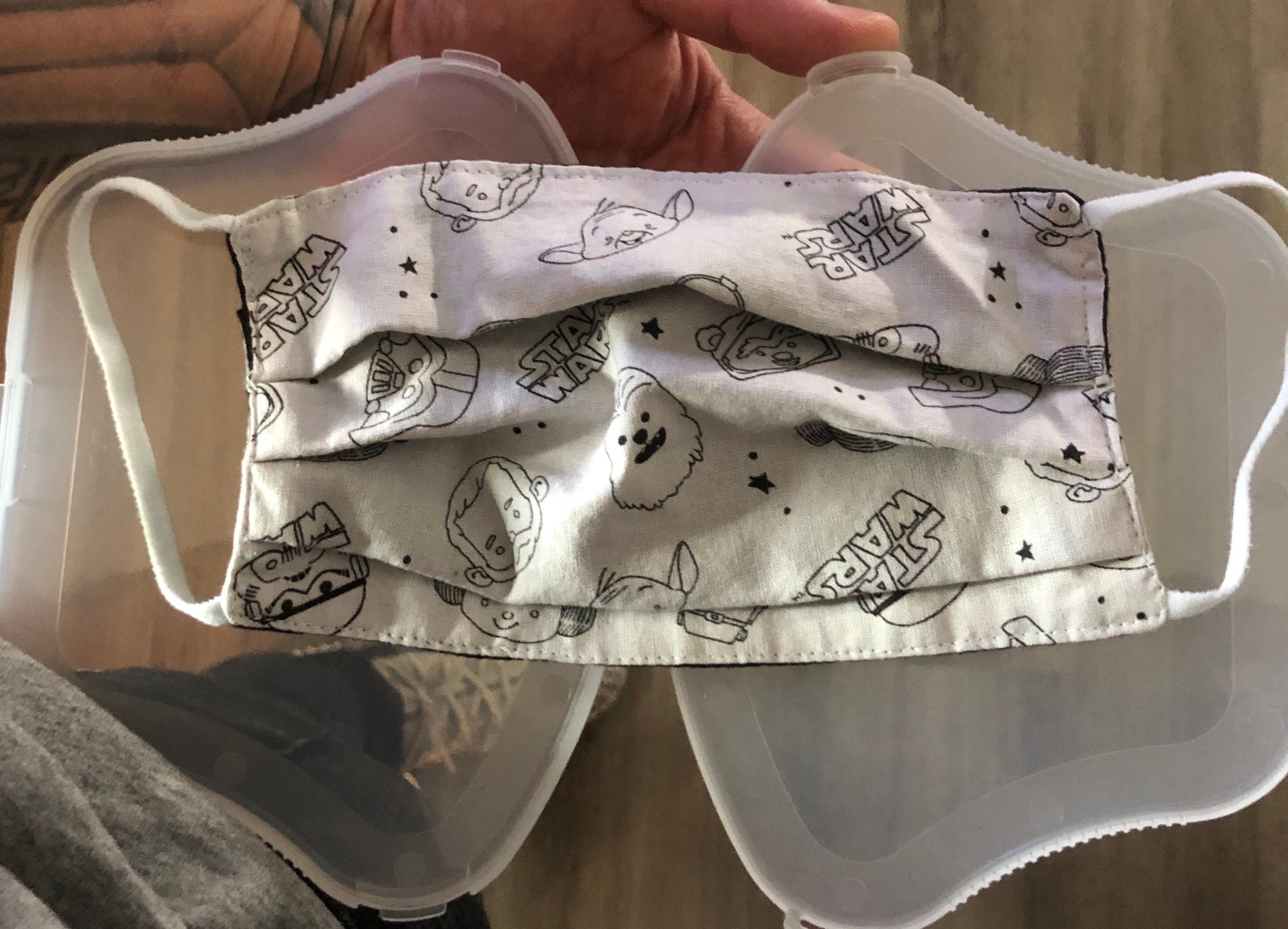 Face Mask Carrying Case, Face Mask Storage, Face Mask Holder, Face Mask ...