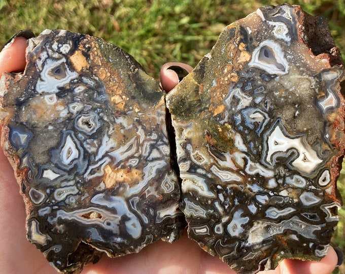 Detailed Agate Slab With Different Variety of Colors Green Background ...