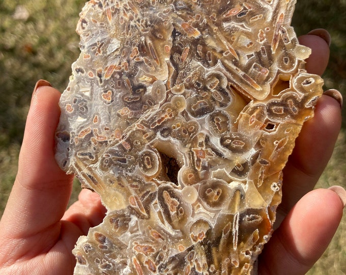 Stick Agate Cluster of Sticks and Transparent Unique Yellow Brown ...