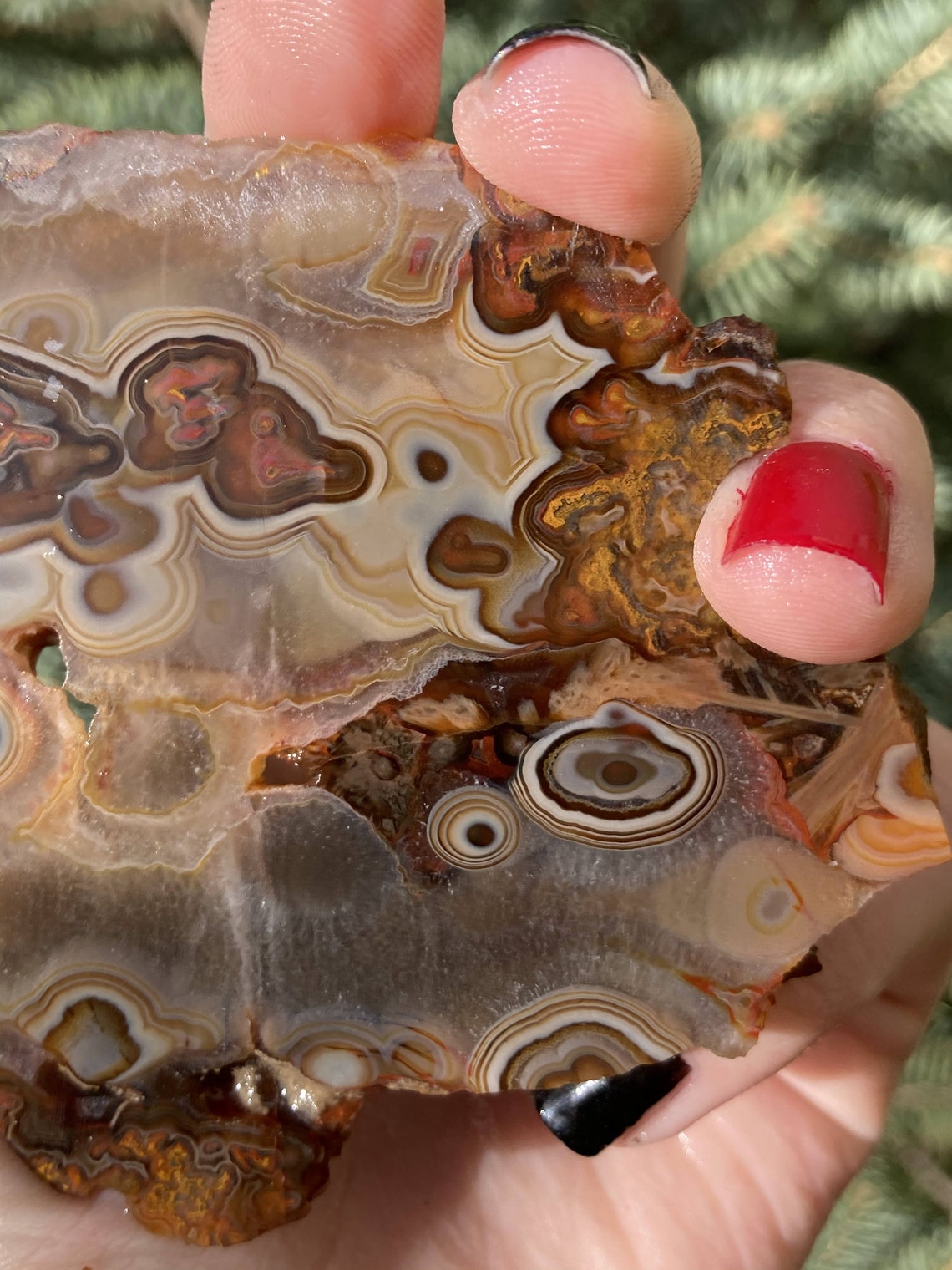 Unique Agate Slab of Bubbly Spectecular Eye Agate With Crazy | Etsy UK