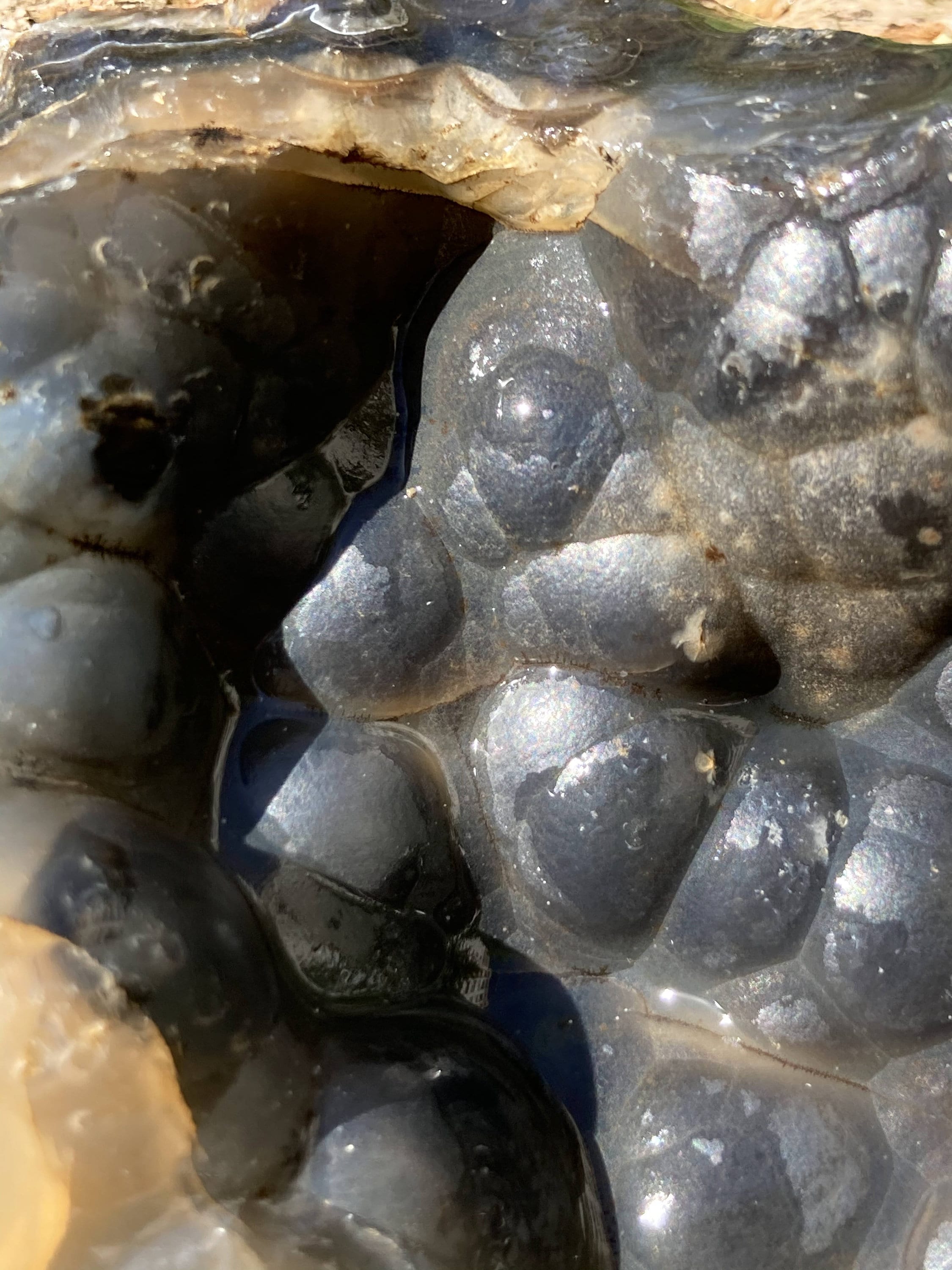 Black Botryoidal Bubbly Agate Geode Globular Volcanic Rough | Etsy