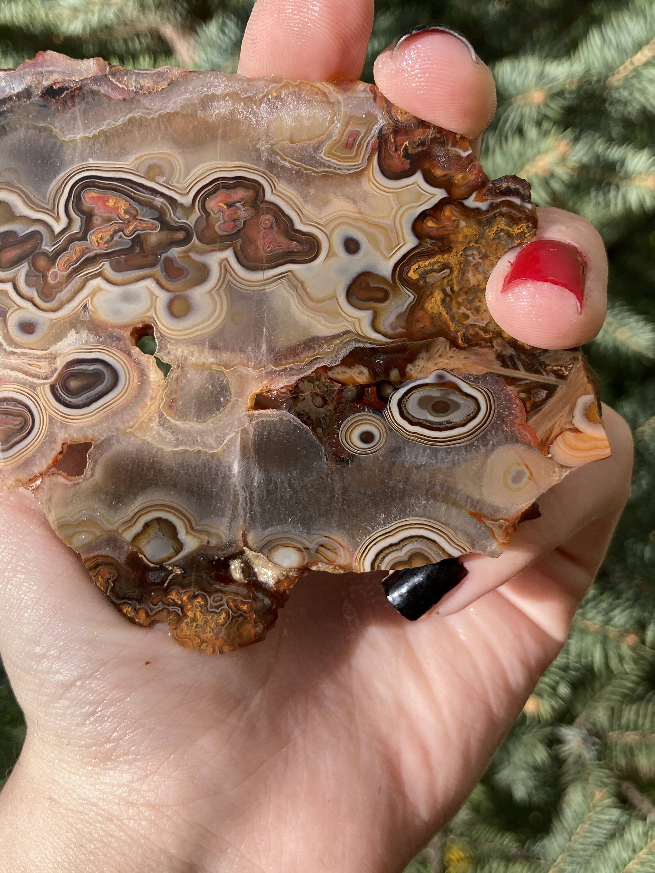 Unique Agate Slab of Bubbly Spectecular Eye Agate With Crazy Multicolor ...