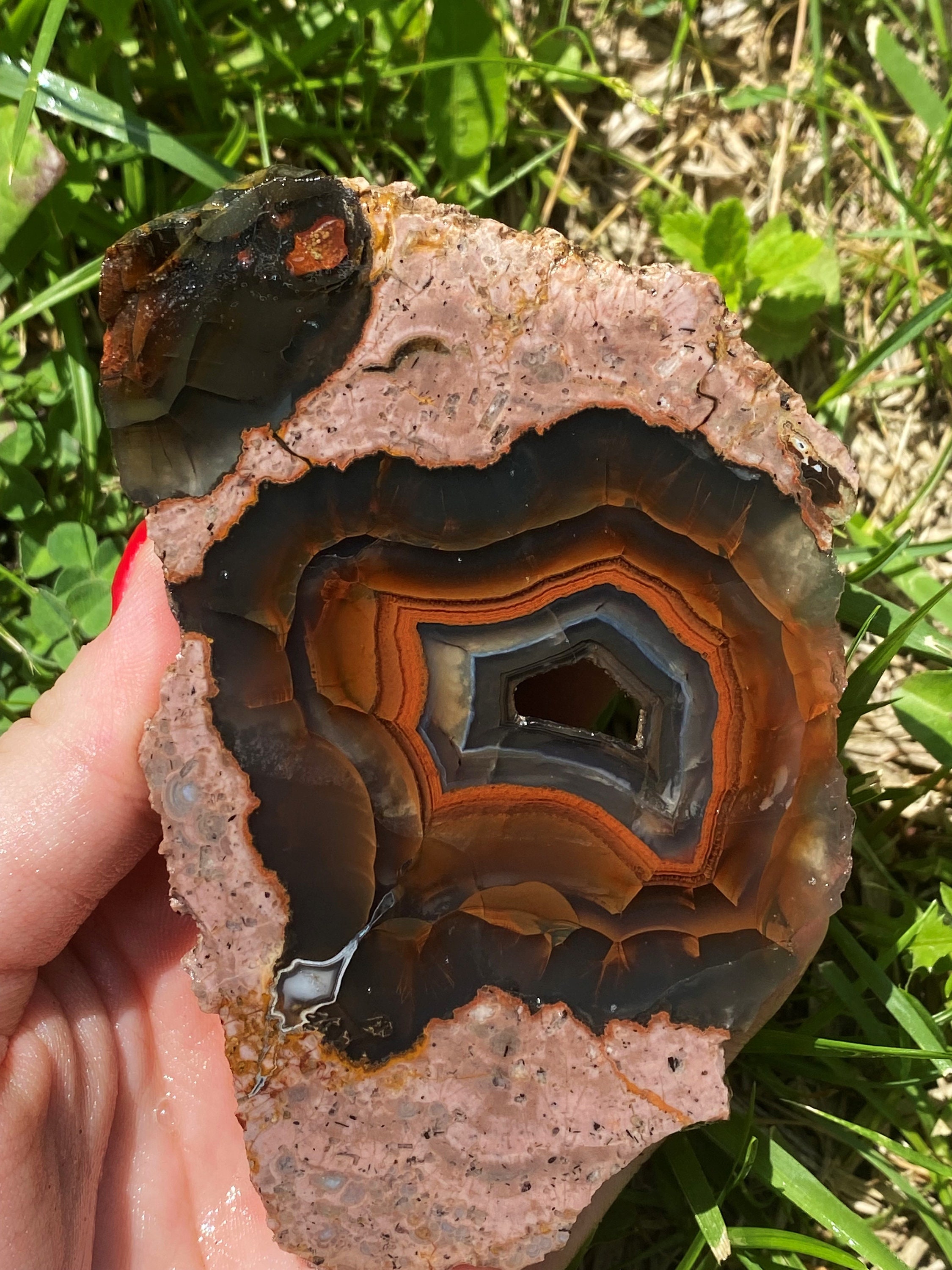 RARE Red Laguna Agate Slab With Chalcedony Center, Framed by Laces and ...