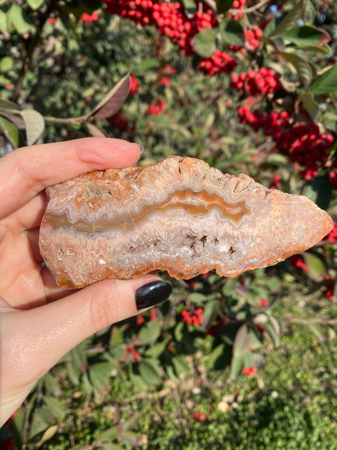 Pink Stick Agate Cluster Slab With Unique Carnelian Laguna Band Around ...