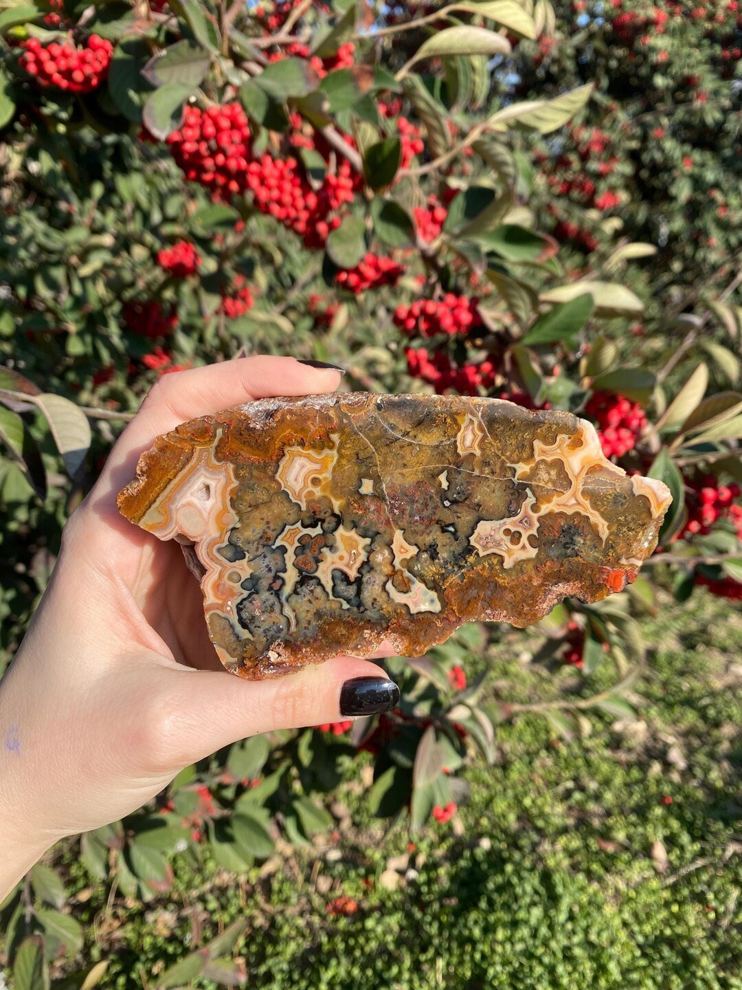 Moss Agate Slab With Colorful Laguna Agate Laces and Bands, Spectacular ...