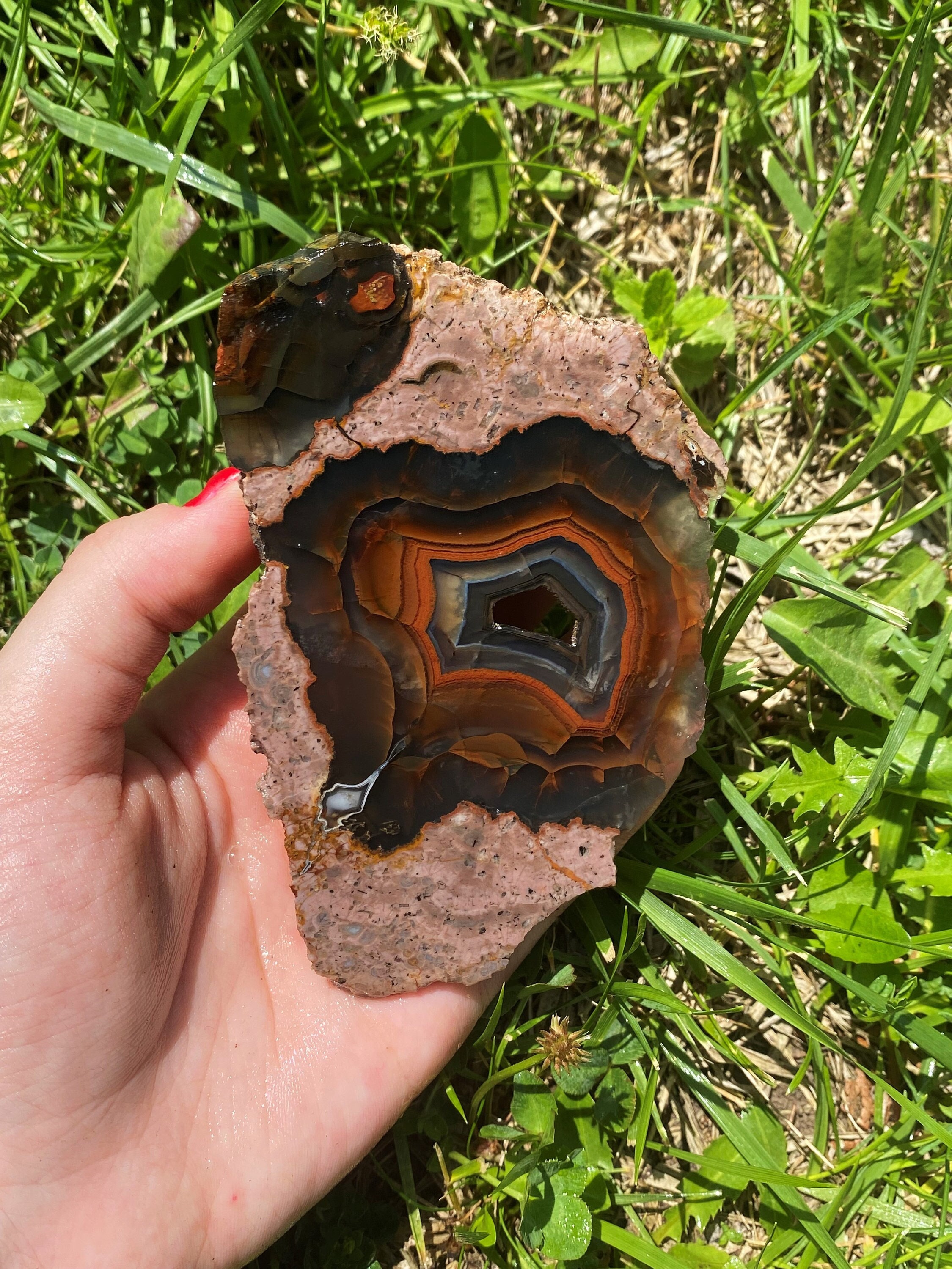 RARE Red Laguna Agate Slab With Chalcedony Center, Framed by Laces and ...