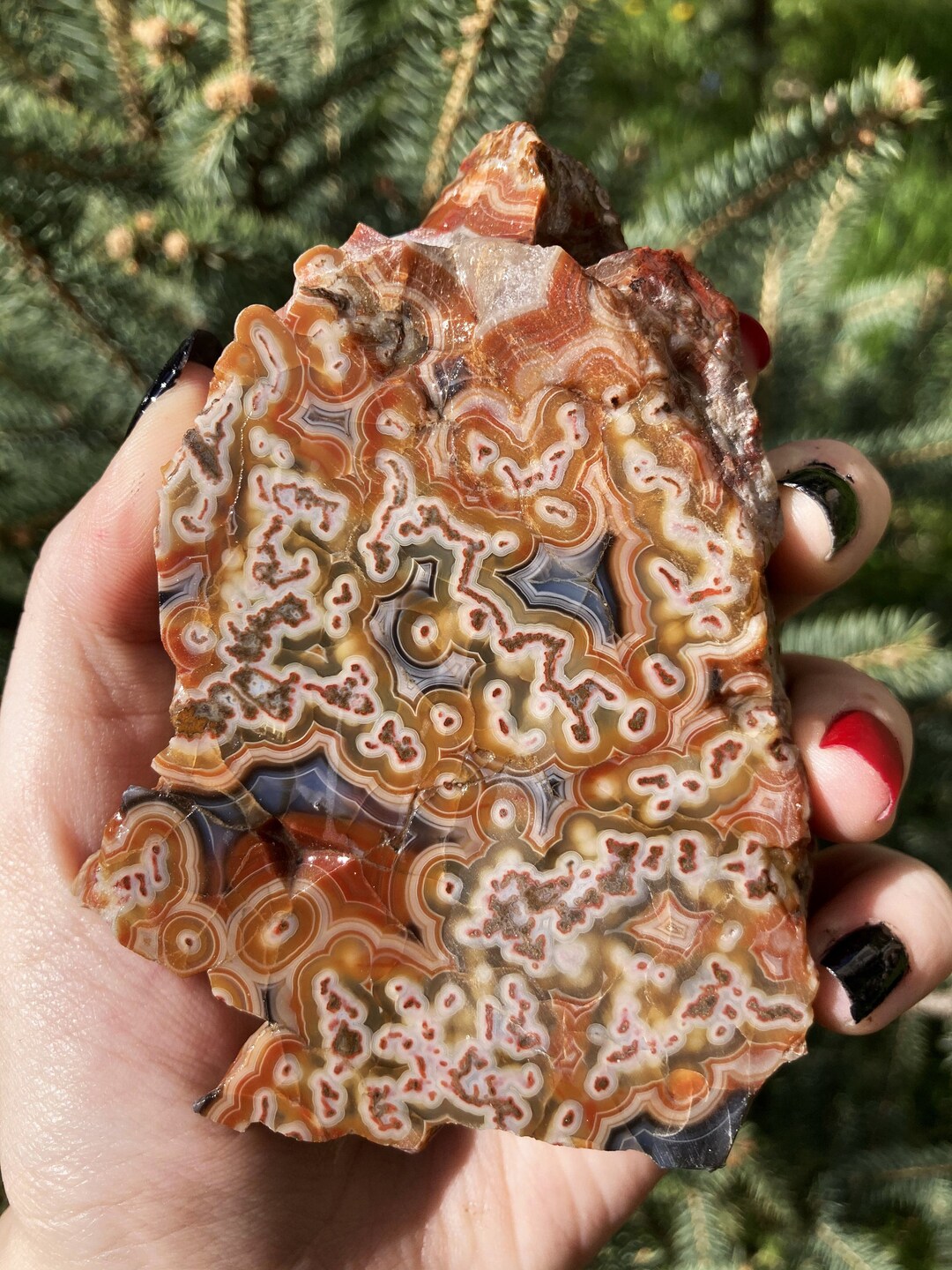 Colorful Coyamito Agate, Riot of Colors Orange Blue Red Spectacular ...