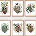 1 Framed Cardiology Print - Physical Shipped Heart Organ Anatomy Framed ...