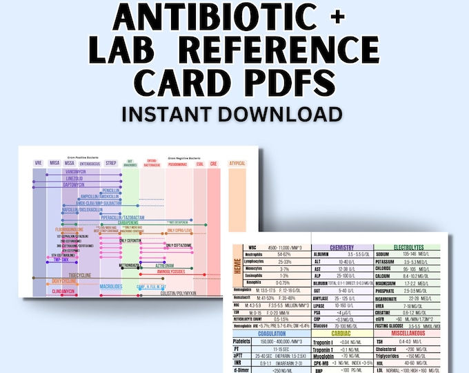 Miranda Rights & Phonetic Alphabet Horizontal Badge Card Reference ID ...
