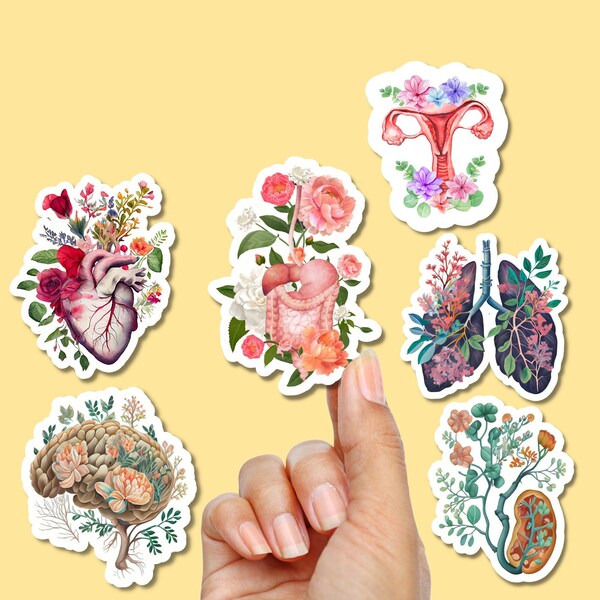 Human Anatomy Sticker - Etsy