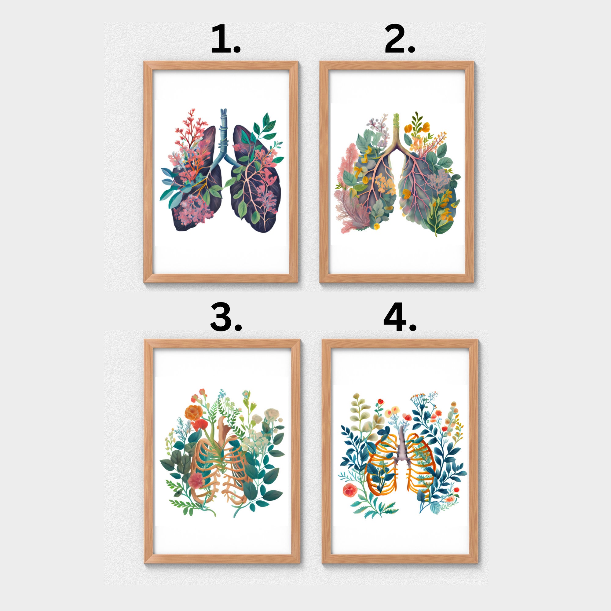1 Framed Lung Anatomy Ribs Organ Framed Art Prints Physical - Etsy