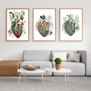 1 Framed Cardiology Print - Physical Shipped Heart Organ Anatomy Framed ...
