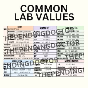 Antibiotic Spectrum + Common Lab Values Reference Card Pdfs - Instant ...