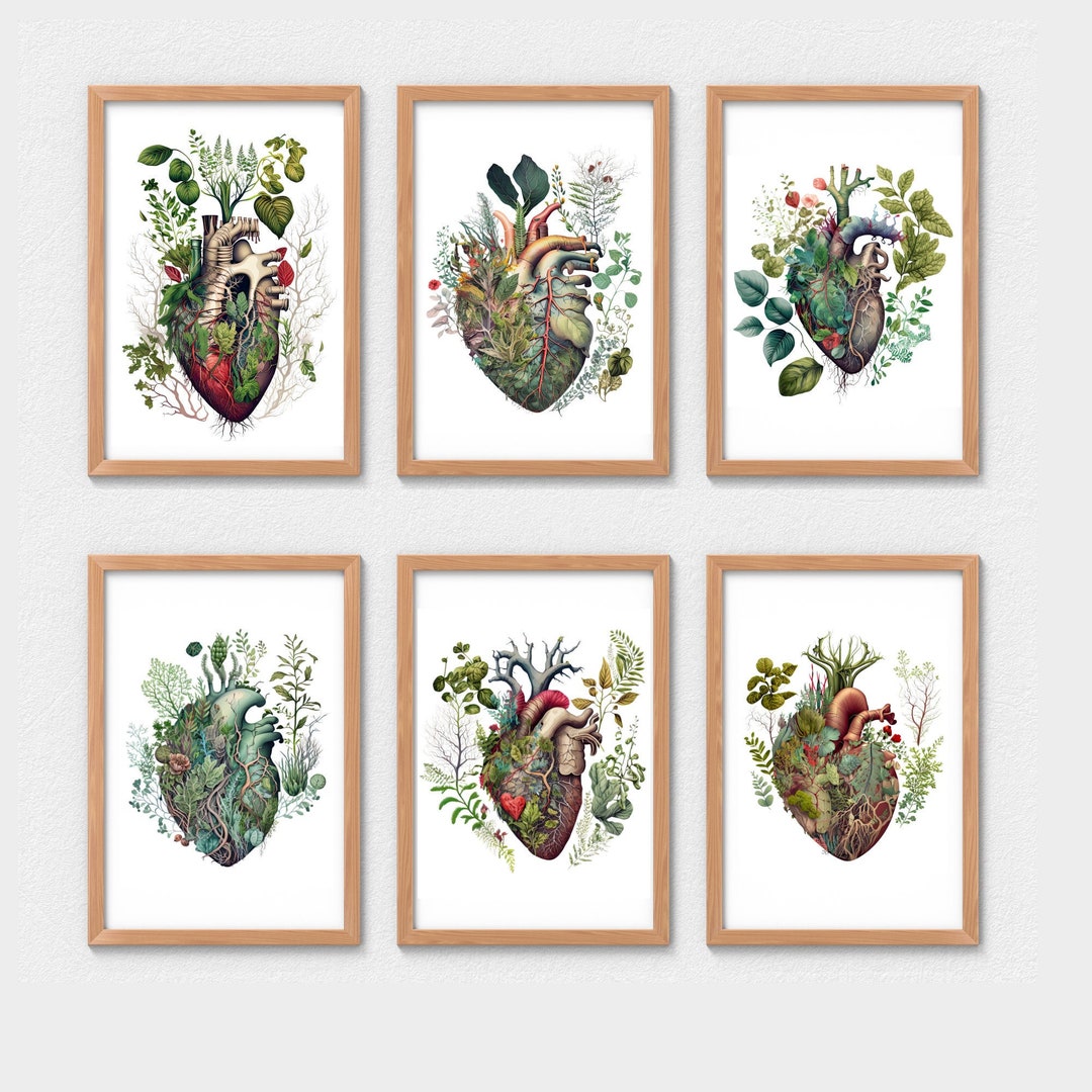 1 Framed Cardiology Print - Physical Shipped Heart Organ Anatomy Framed ...