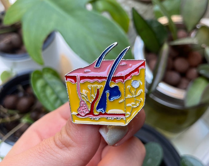 Dermatologist Skin Anatomy Enamel Pin Pathology Medical Badge for ...