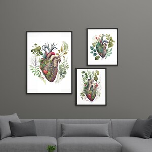 1 Framed Cardiology Print - Physical Shipped Heart Organ Anatomy Framed ...