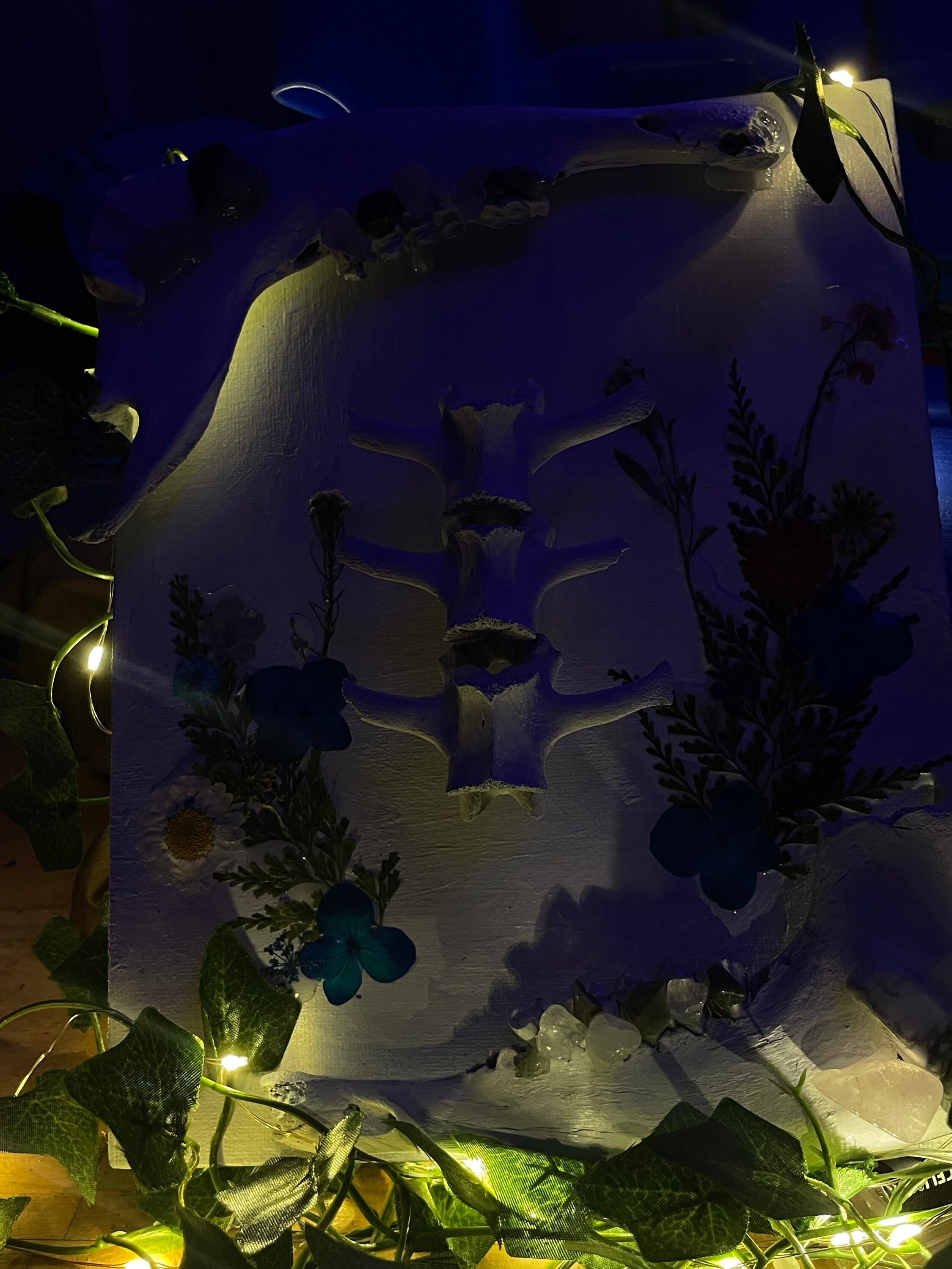 Genuine Deer Vertebrae/jaw Bone Wall Decor With Jade, Quartz and Moss ...