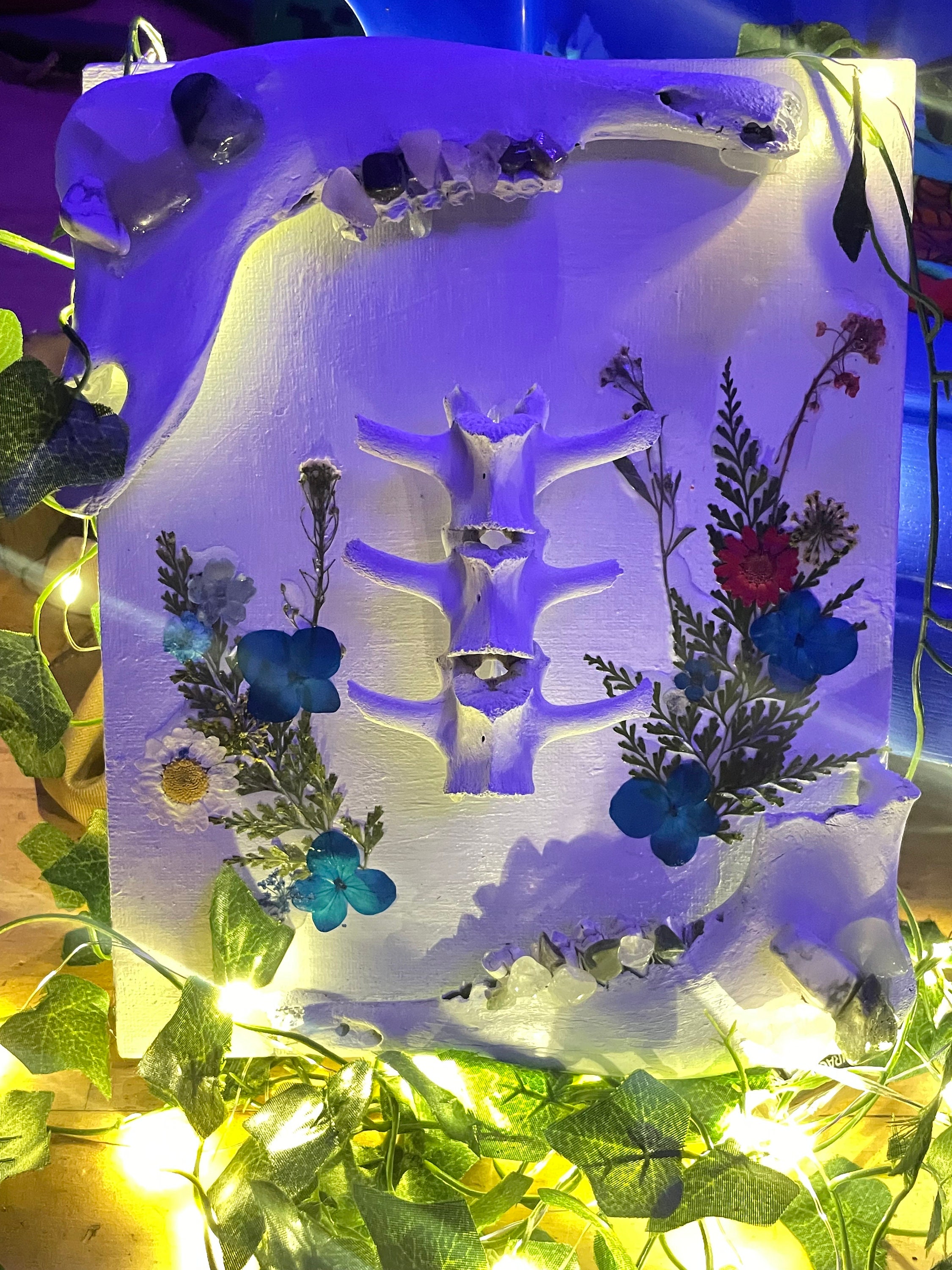 Genuine Deer Vertebrae/jaw Bone Wall Decor With Jade, Quartz and Moss ...