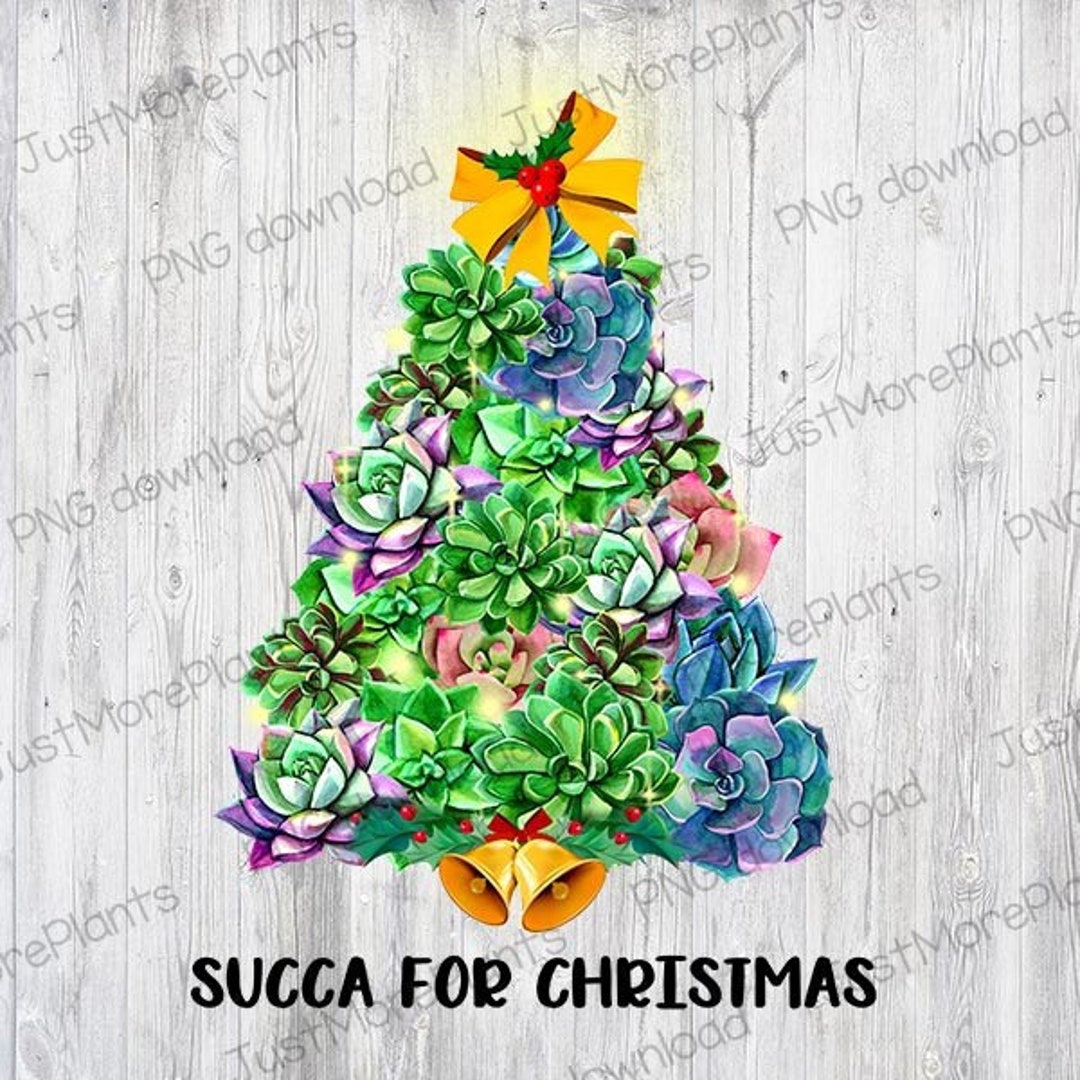 Plant PNG, Succa for Christmas PNG, Plant Gift, Plant Lover, Plant ...