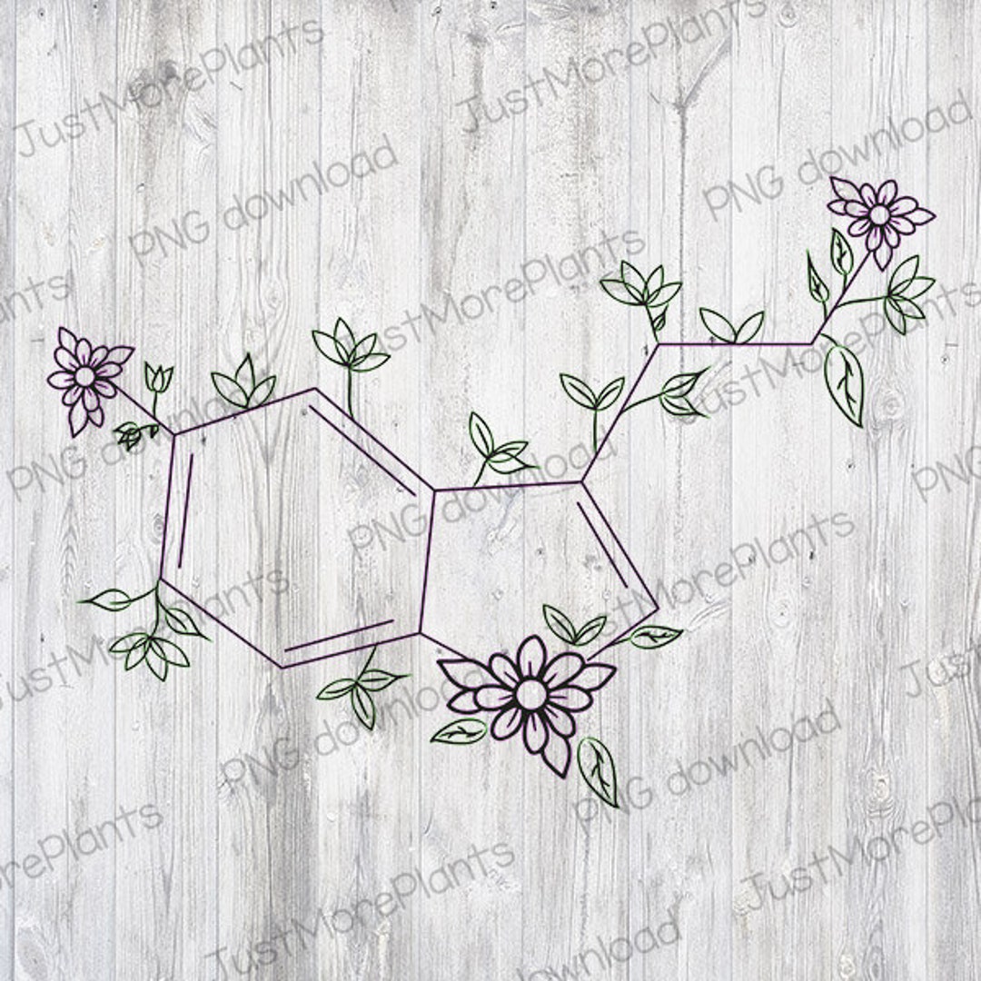 Flower PNG, Floral Serotonin PNG, Wildflower PNG, Flower Gift, Floral ...