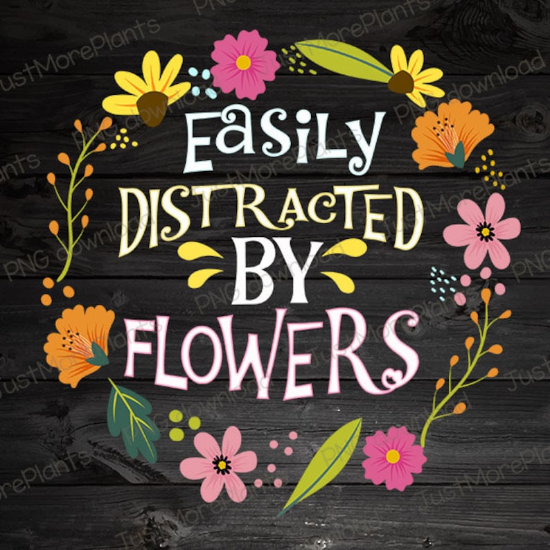 Flower PNG, Easily Distracted by Flowers PNG, Wildflower PNG, Flower ...
