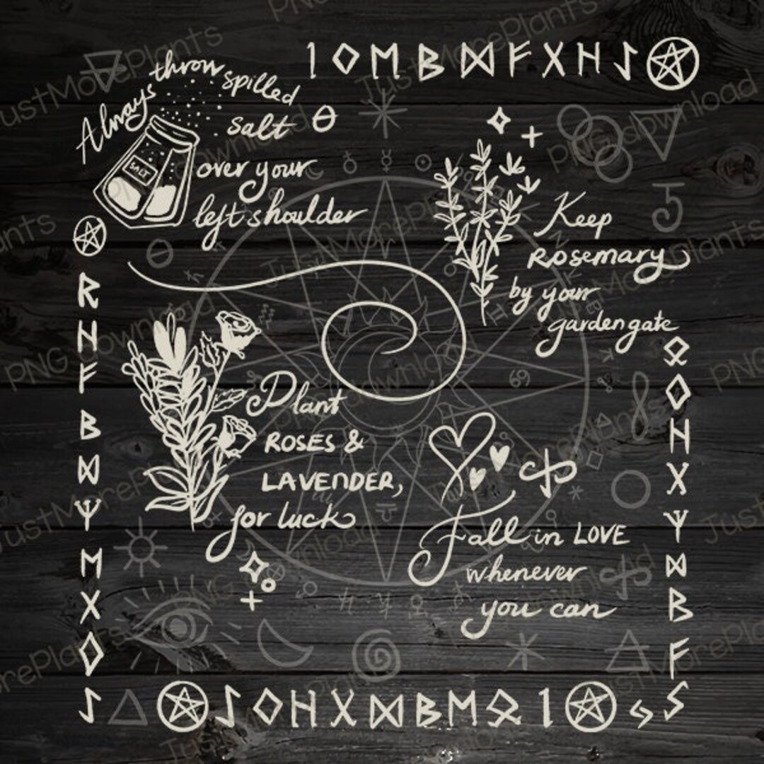 Flower PNG, Practical Magic PNG, Flower Type, Flower Gift, Floral ...