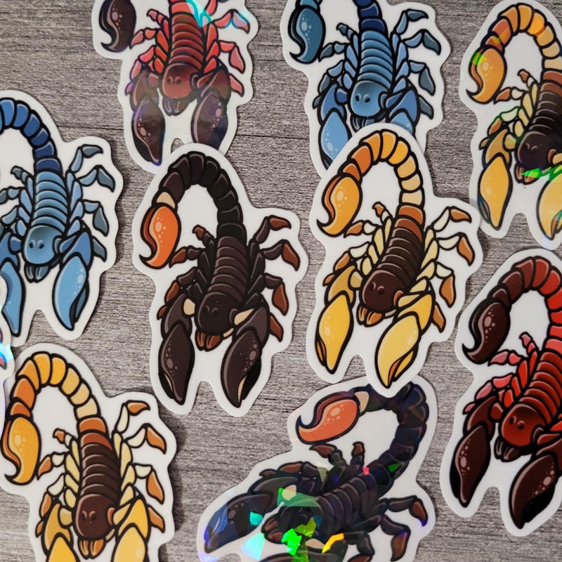 Scorpion Car Decal - Etsy