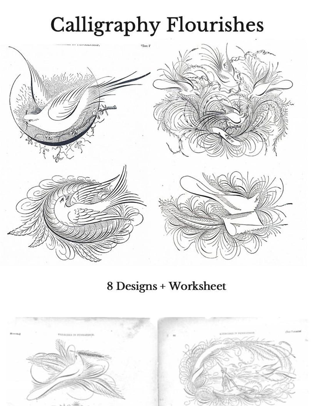Calligraphy Flourishes Practice Sheets | Spencerian Bird Designs ...