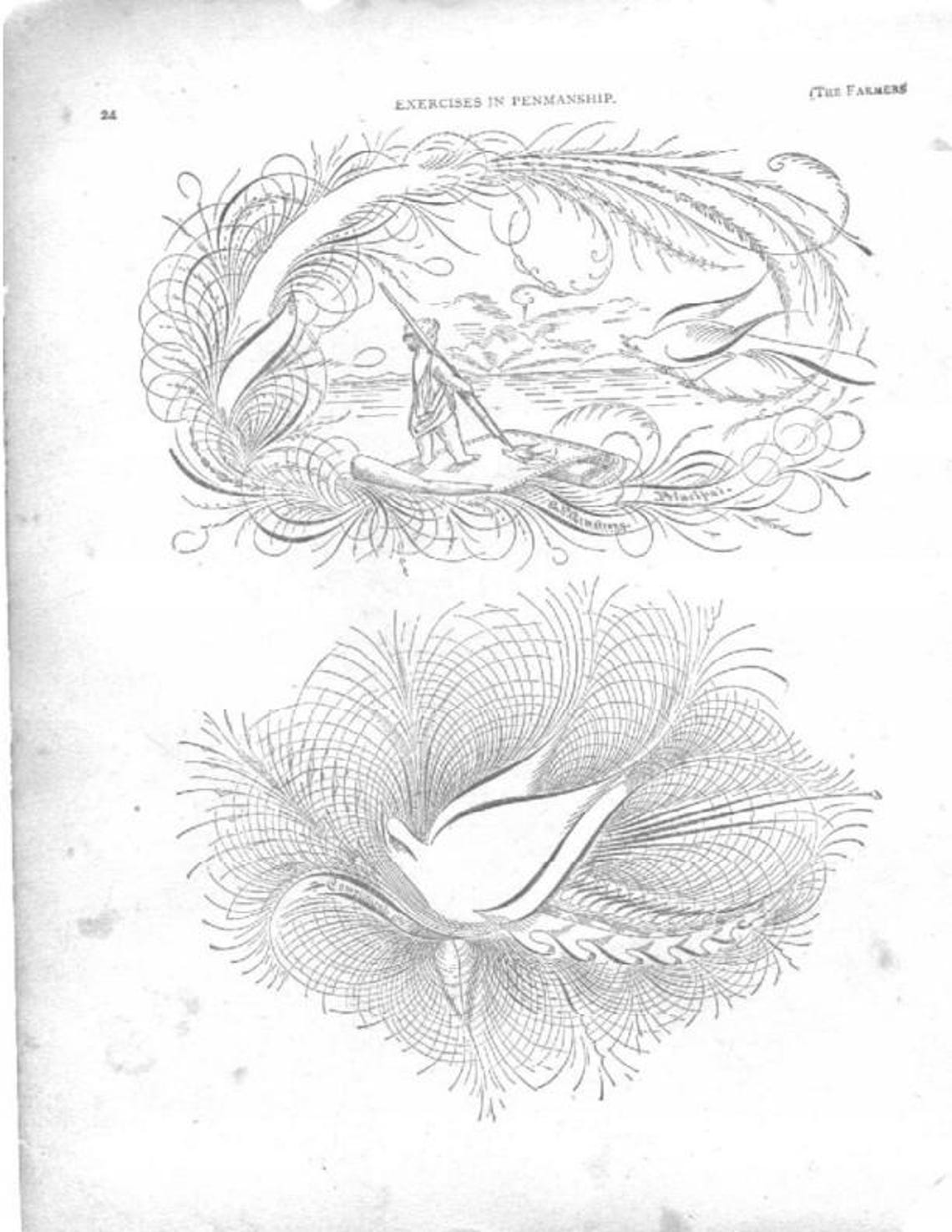 8 Designs Victorian Calligraphy Birds Printable Collection- 1800s ...