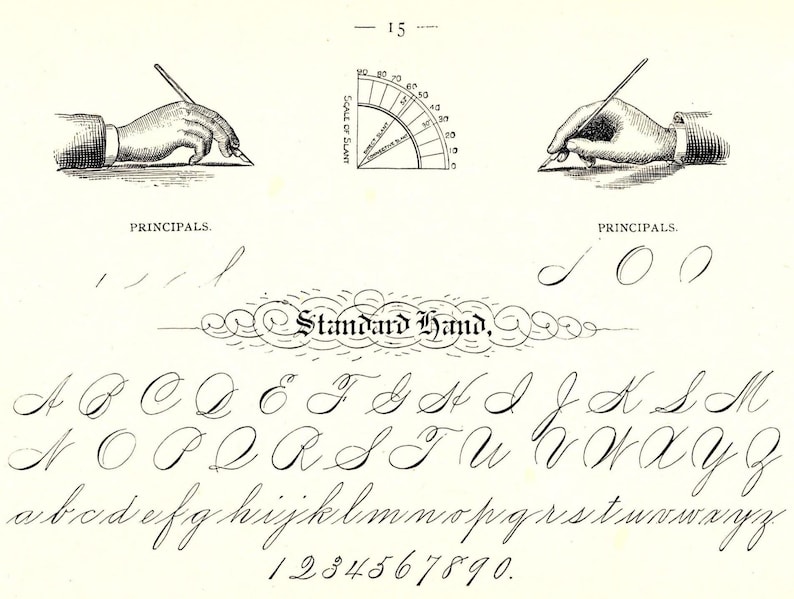 Victorian Calligraphy Alphabet Practice Sheet | Standard Hand Script ...