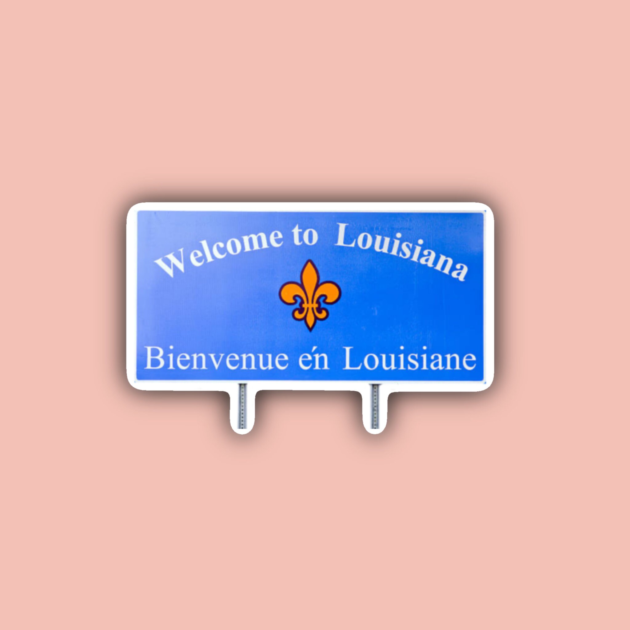 Louisiana Sticker Pack | Etsy